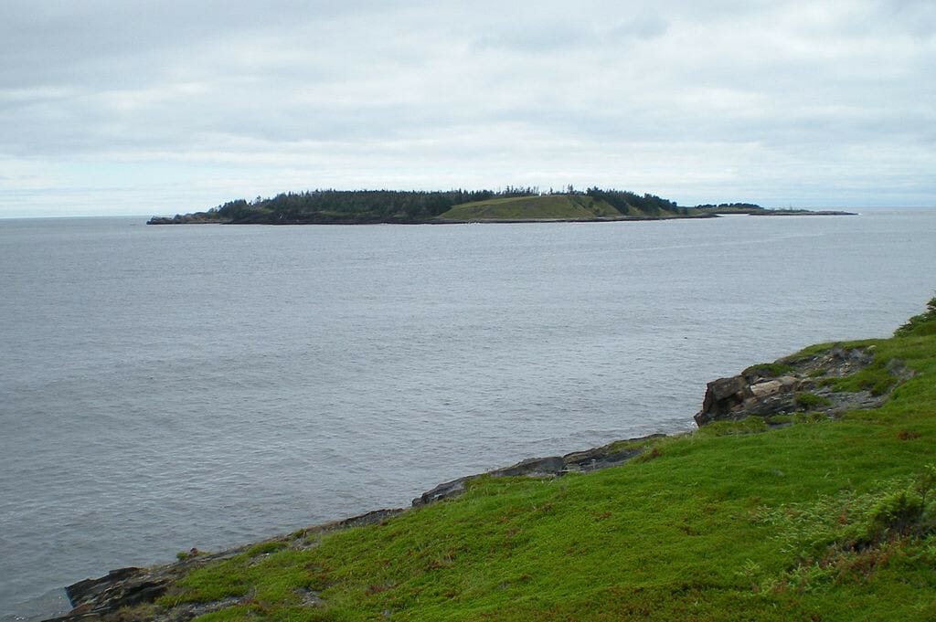 East Ironbound Island Archives | Dalhousie Gazette