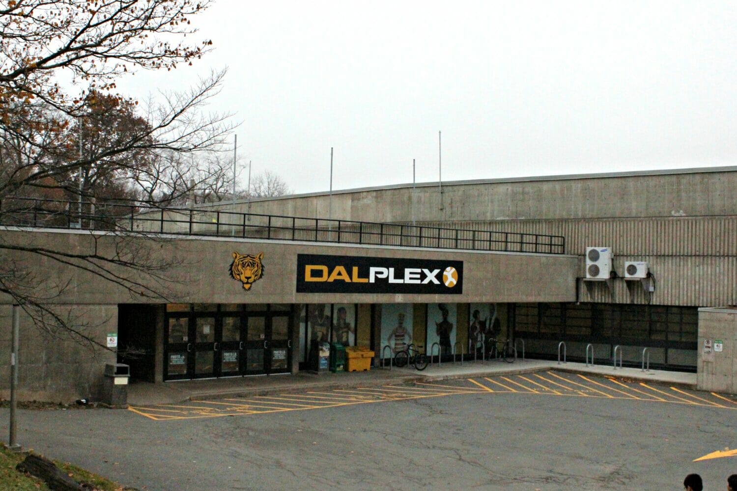 What does the Dalplex do with our money? | Dalhousie Gazette