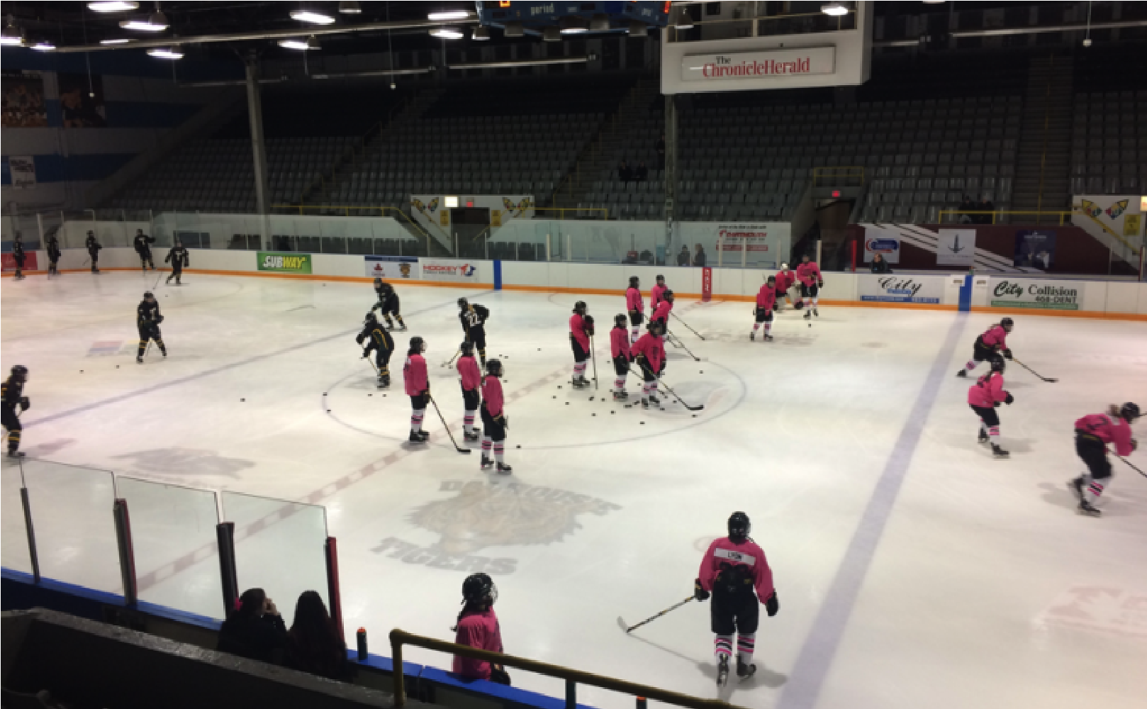 Pink in the Rink night | Dalhousie Gazette