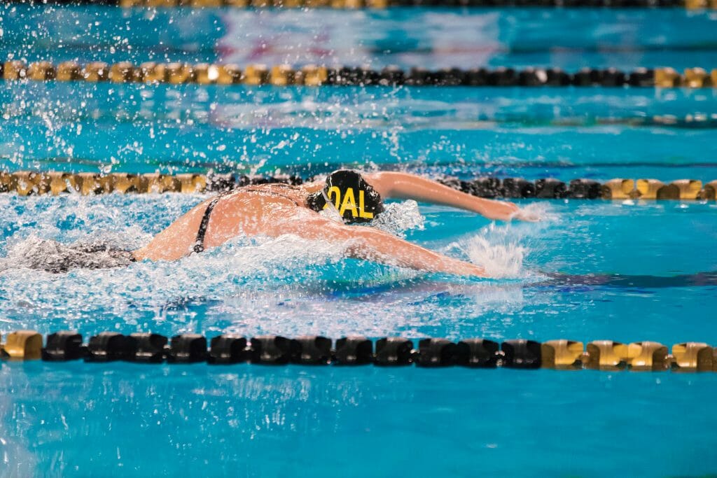 Back on calm waters | Dalhousie Gazette