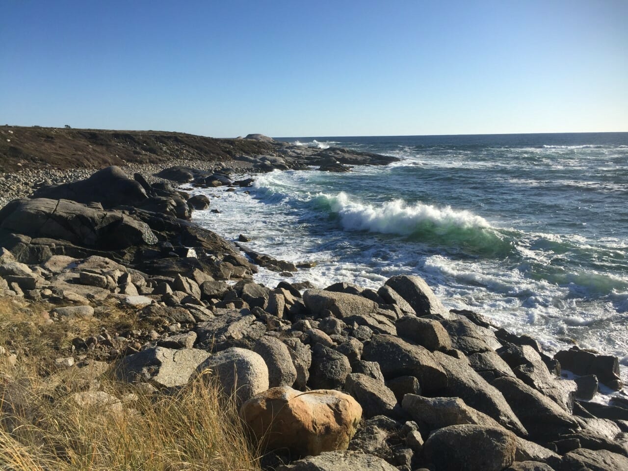 What Halifax is doing for habitat restoration, conservation and ...