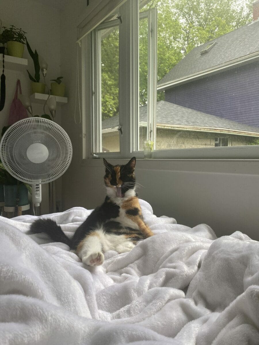 Catching up with Dalhousie’s newest celebrity | Dalhousie Gazette