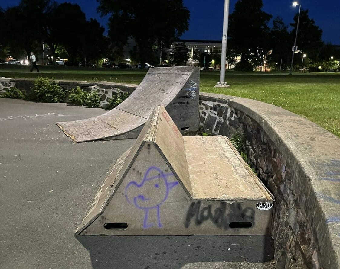 Halifax is for the birds | Dalhousie Gazette