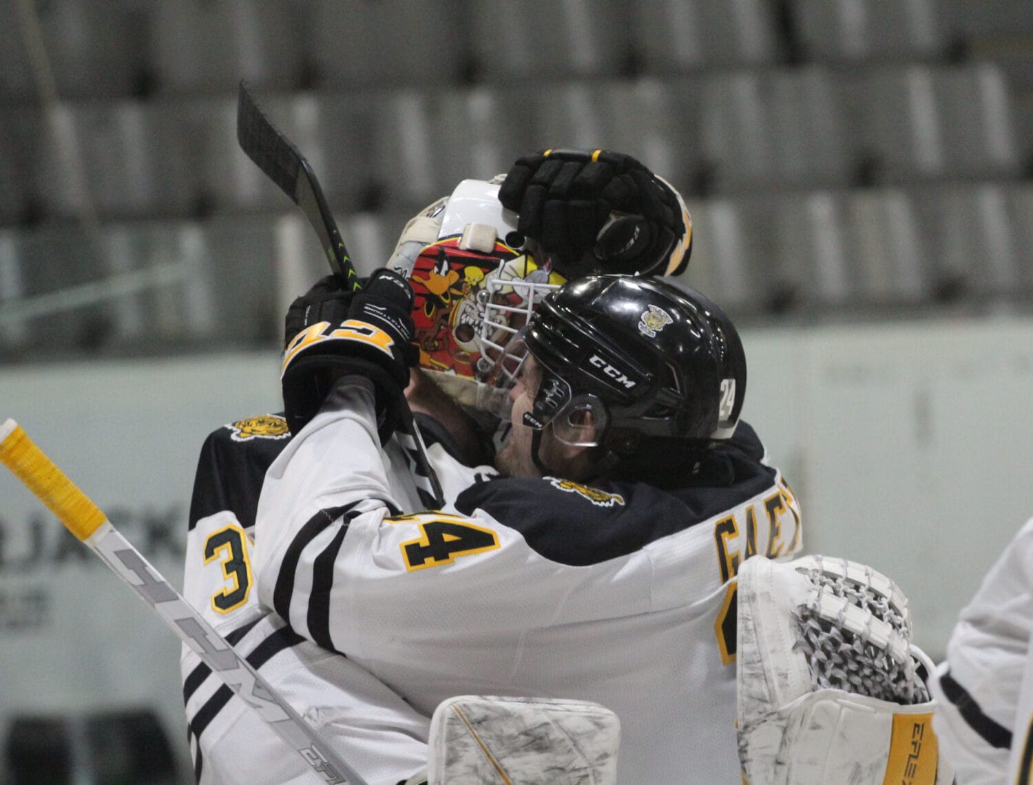 Dal Tigers men’s hockey play the StFX X-Men | Dalhousie Gazette