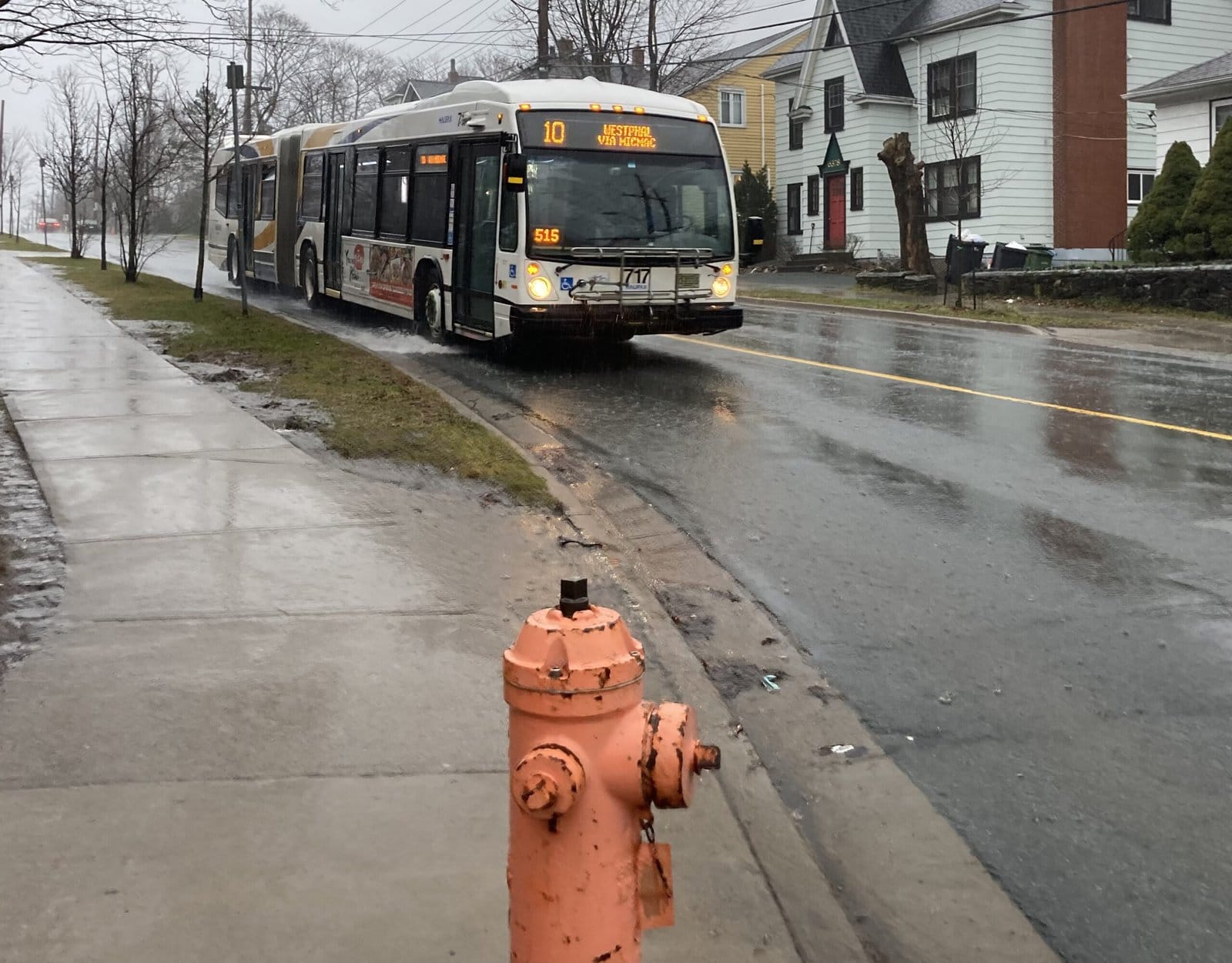 How can Halifax Better Support Our Wellbeing | Dalhousie Gazette