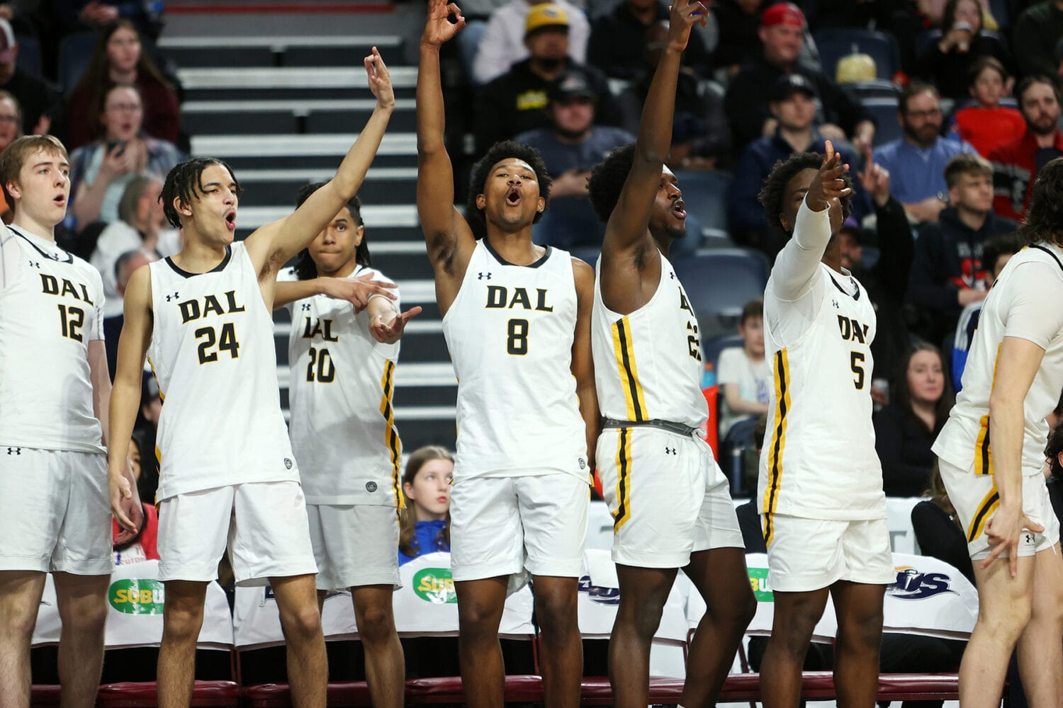 Dalhousie University sports events to catch this 2024-25 season ...