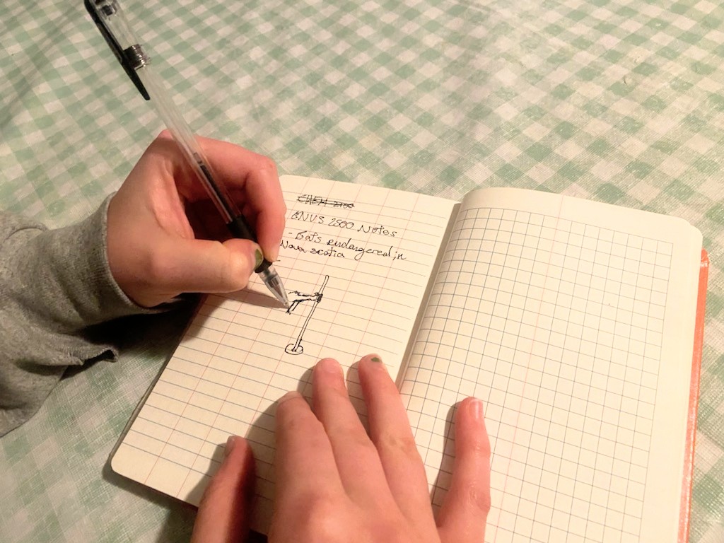 Dalhousie quietly cuts note taker program without telling students ...