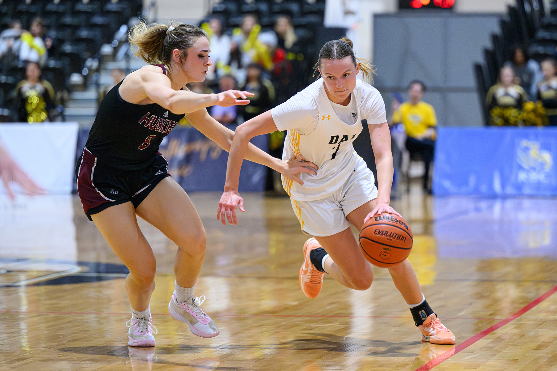 Women’s basketball | Dalhousie Gazette