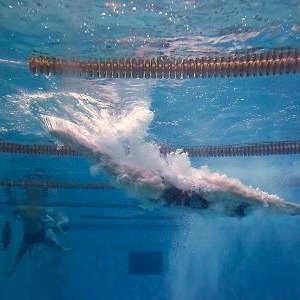 Former Acadia swimmers excel at Dalhousie after home pool closure ...