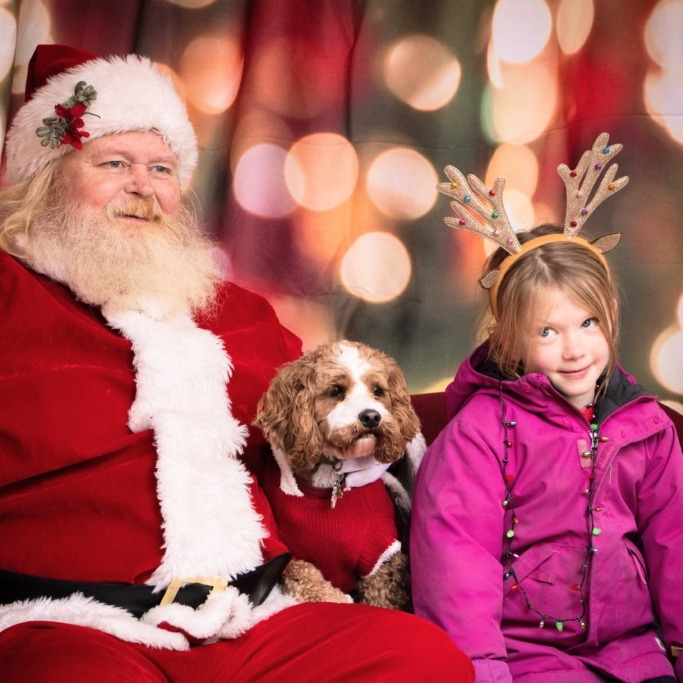 Who let the dogs out for Christmas? | Dalhousie Gazette